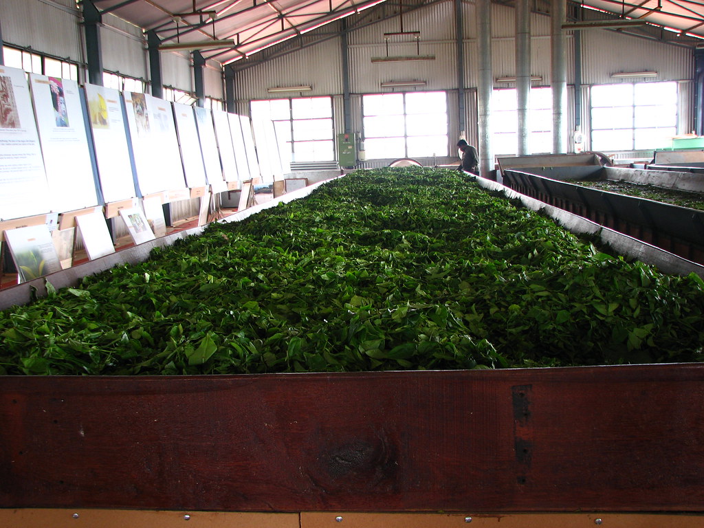 Ooty – UCAN Travels